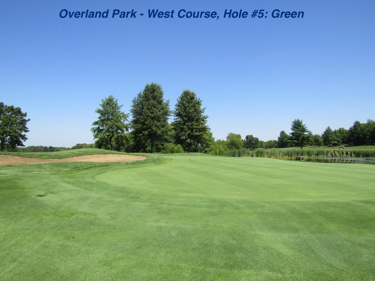 The Story of the Birdie Stogie | Greenside Cigars